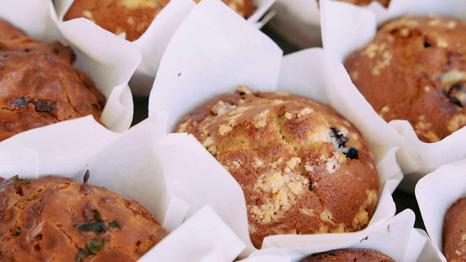 Hillarys Beach Club · Perth's New Coastal Haven