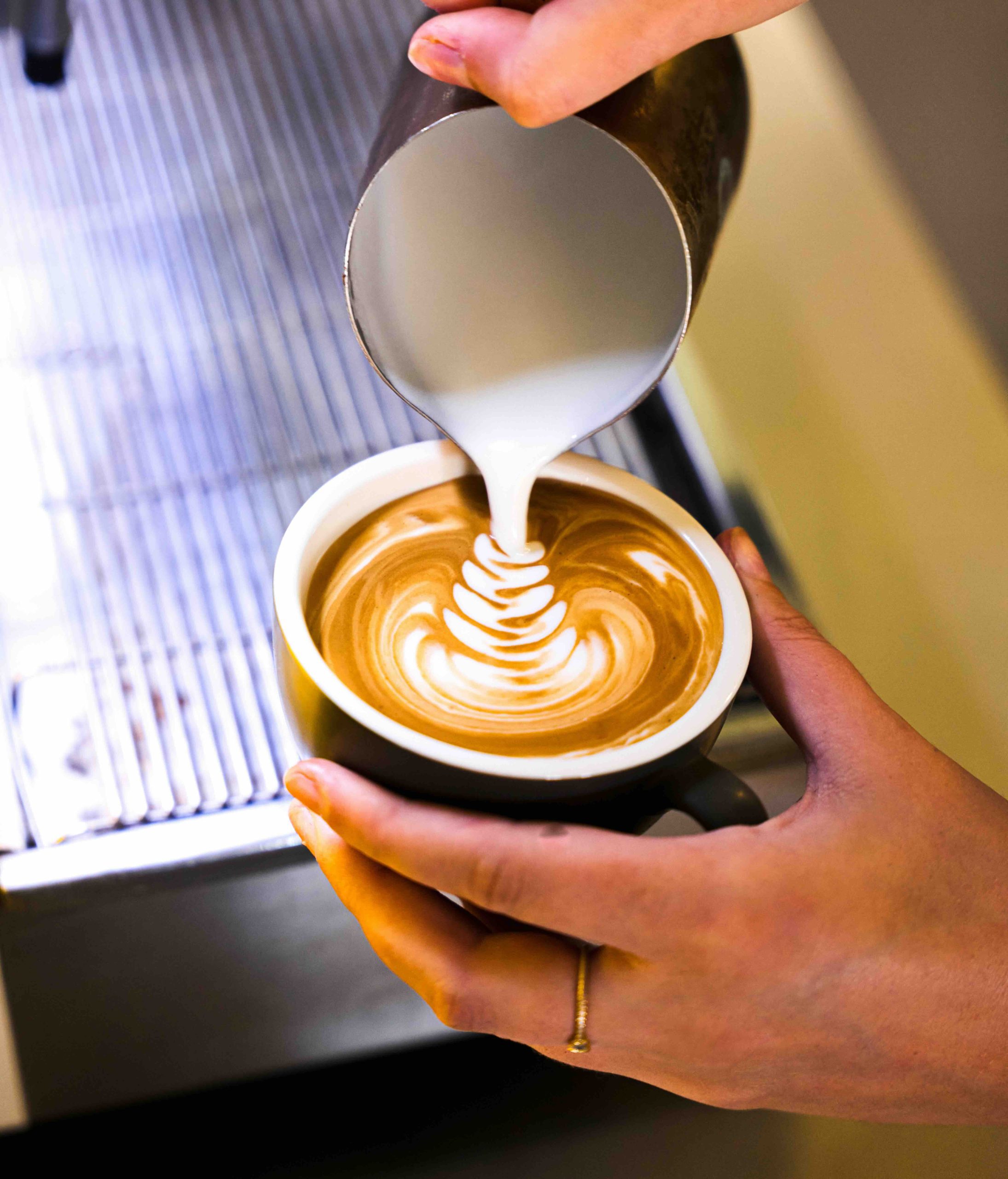 Hillarys Beach Club · Perth's New Coastal Haven