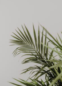 Hillarys Beach Club · Perth's New Coastal Haven